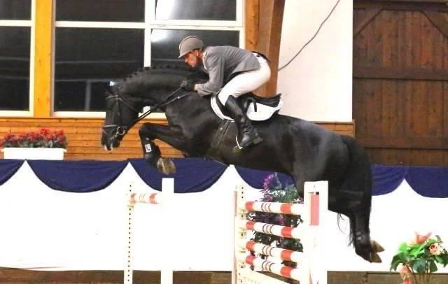 Viscount , 2009 Black Hanoverian Stallion — Dreamscape Farm