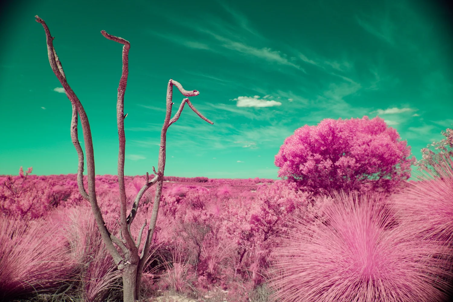 Full Spectrum Portfolio — Jessica Eva