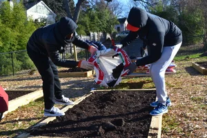 Mandatory Service Hours | Get Started Today — Hands On Atlanta