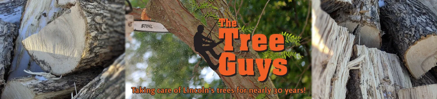 The Tree Guys - Tree Trimming in Lincoln, NE