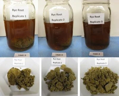 Produce & Specialty Crops — KyFoodandFarm.info