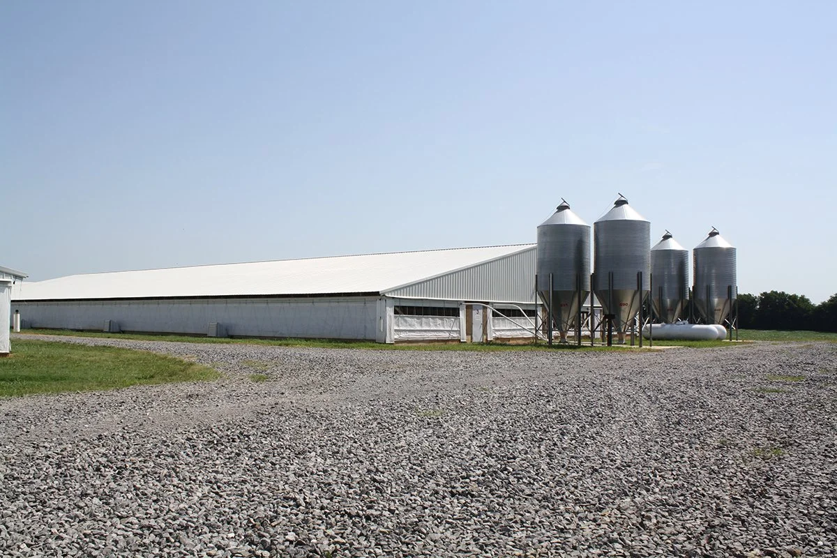 Meet Our Kentucky Farmers: Caleb and Lukas DeWeese — KyFoodandFarm.info