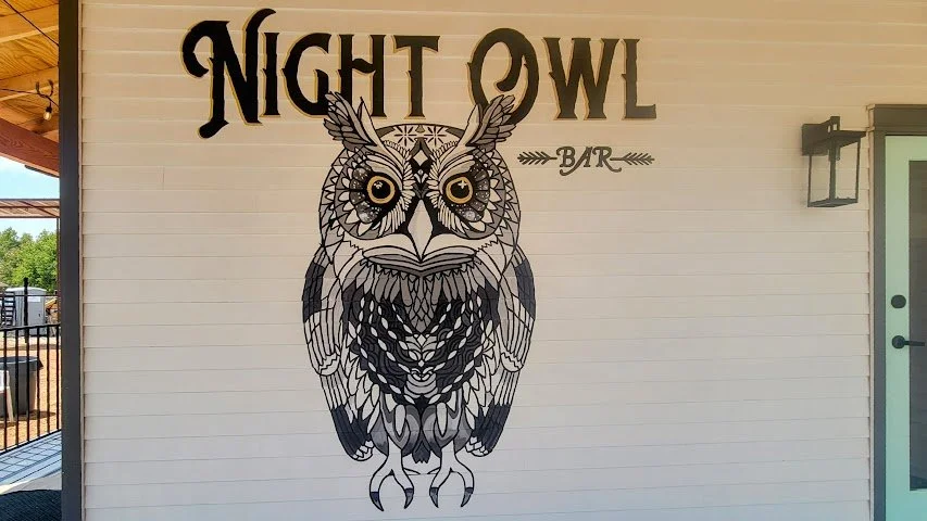 Commercial Murals | Night Owl — Sarah J. Blankenship: Muralist & Sign ...