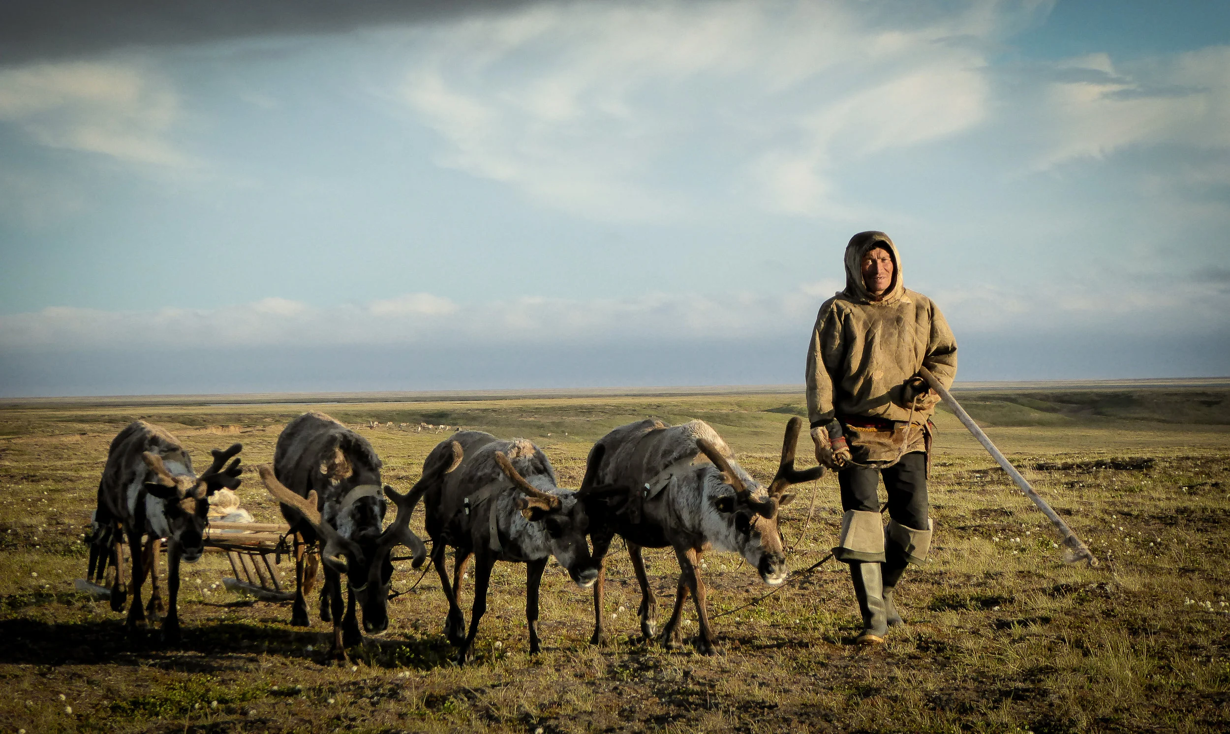 Looking for answers for indigenous peoples on the tundra — JONAA ...