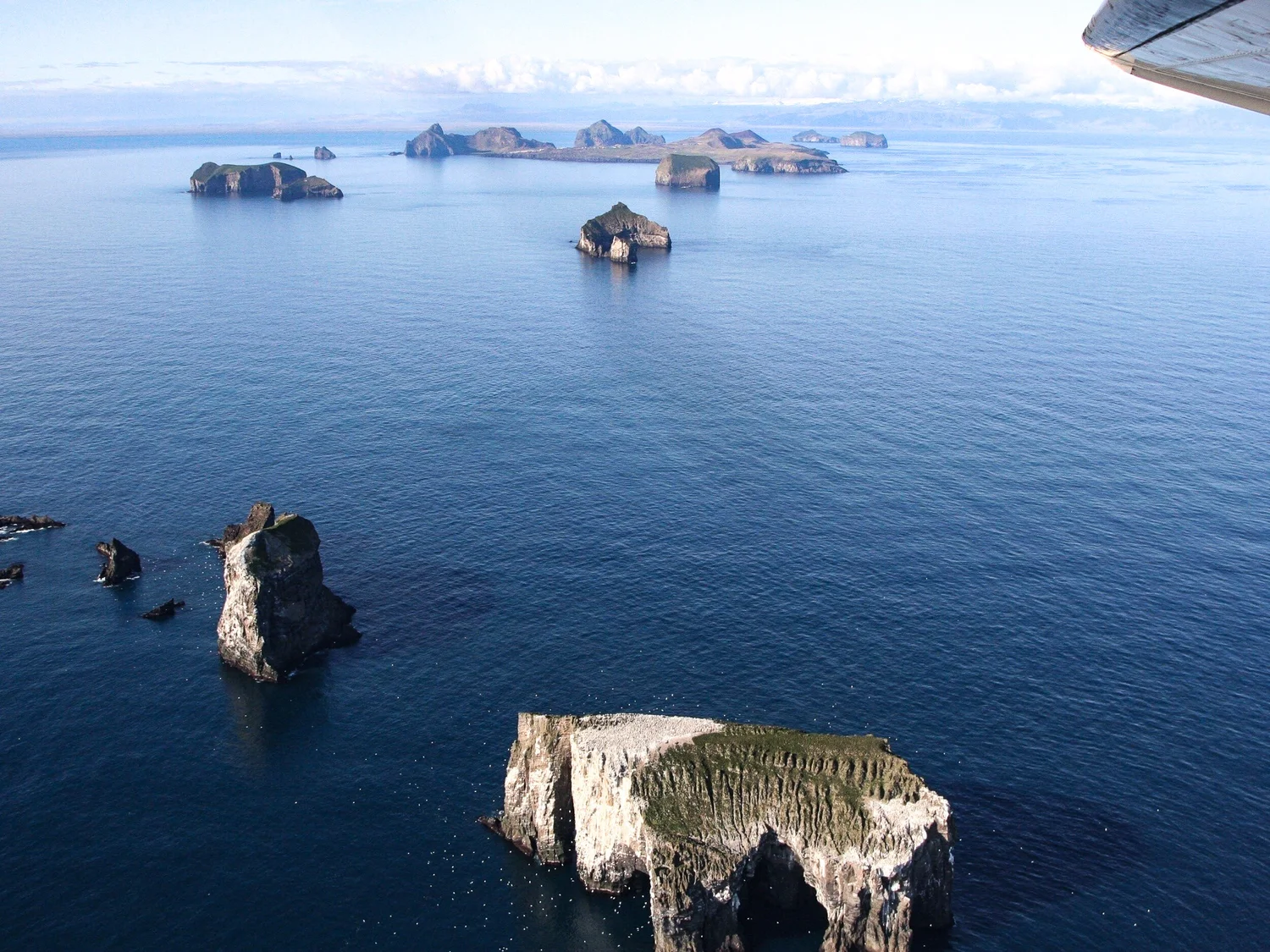 Puffin Hunting In Iceland Gives A Unique Insight Into Climate Effects ...