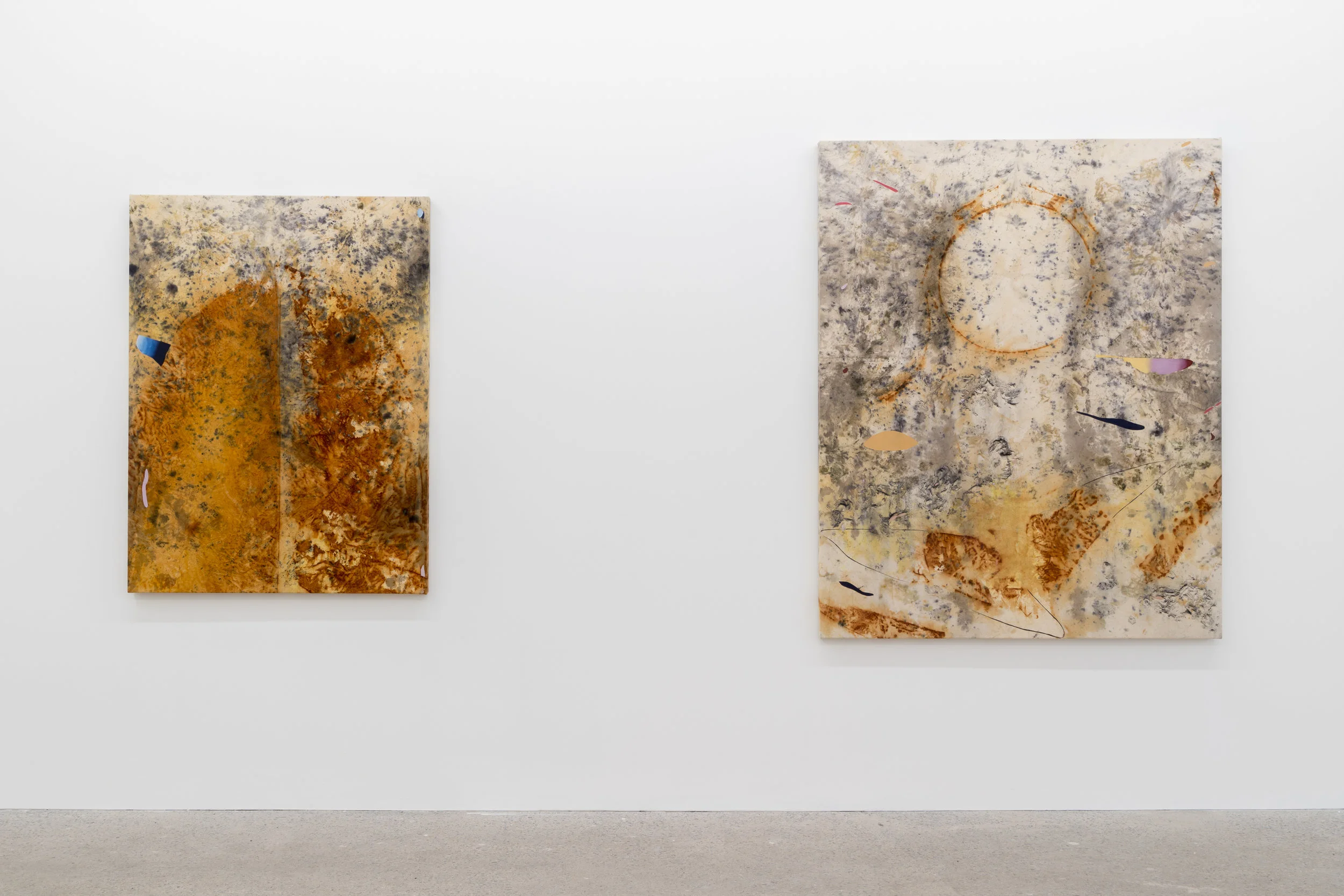 Gillian King - Sediment - Printmaking, Textile Art & Organic Materials ...