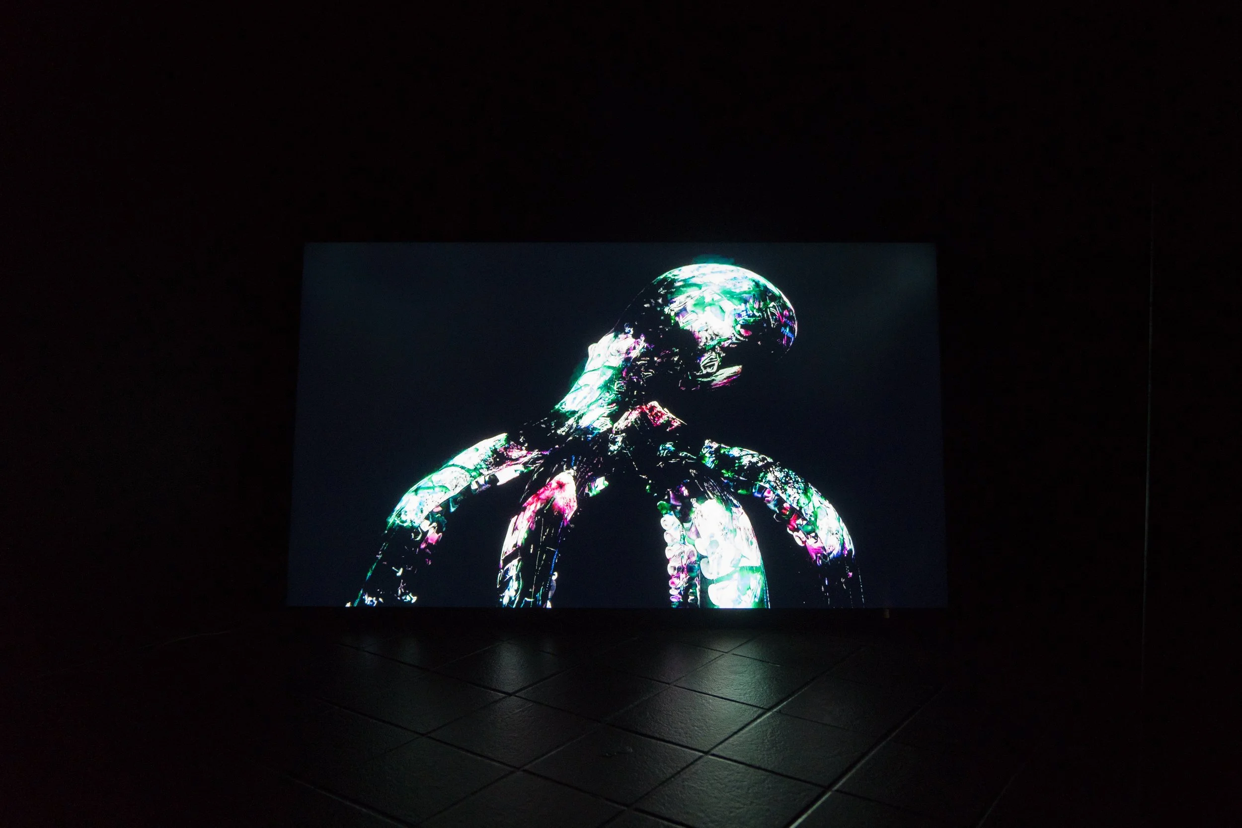 2021_Chris Dorland - Species — Galerie Nicolas Robert