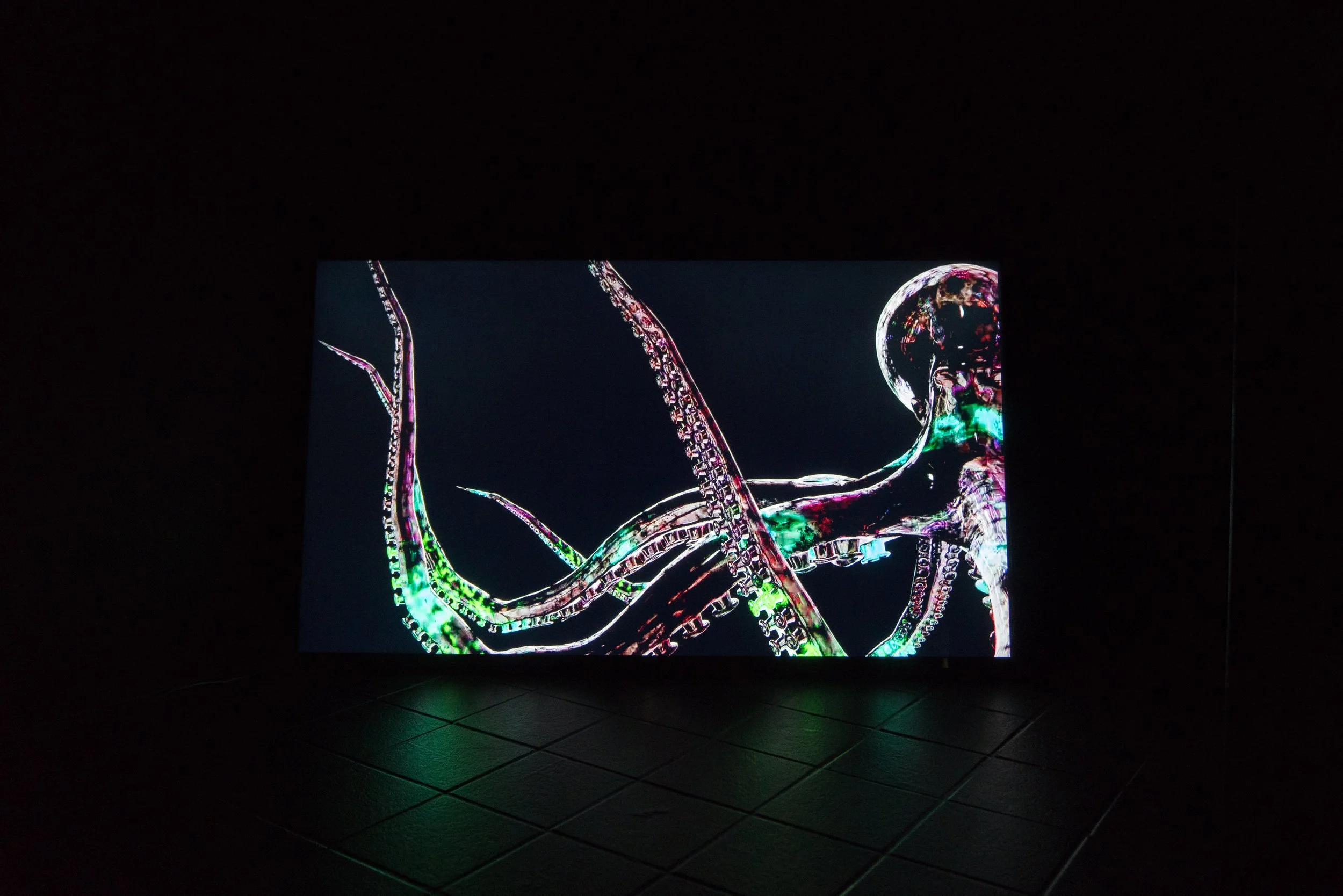 2021_Chris Dorland - Species — Galerie Nicolas Robert