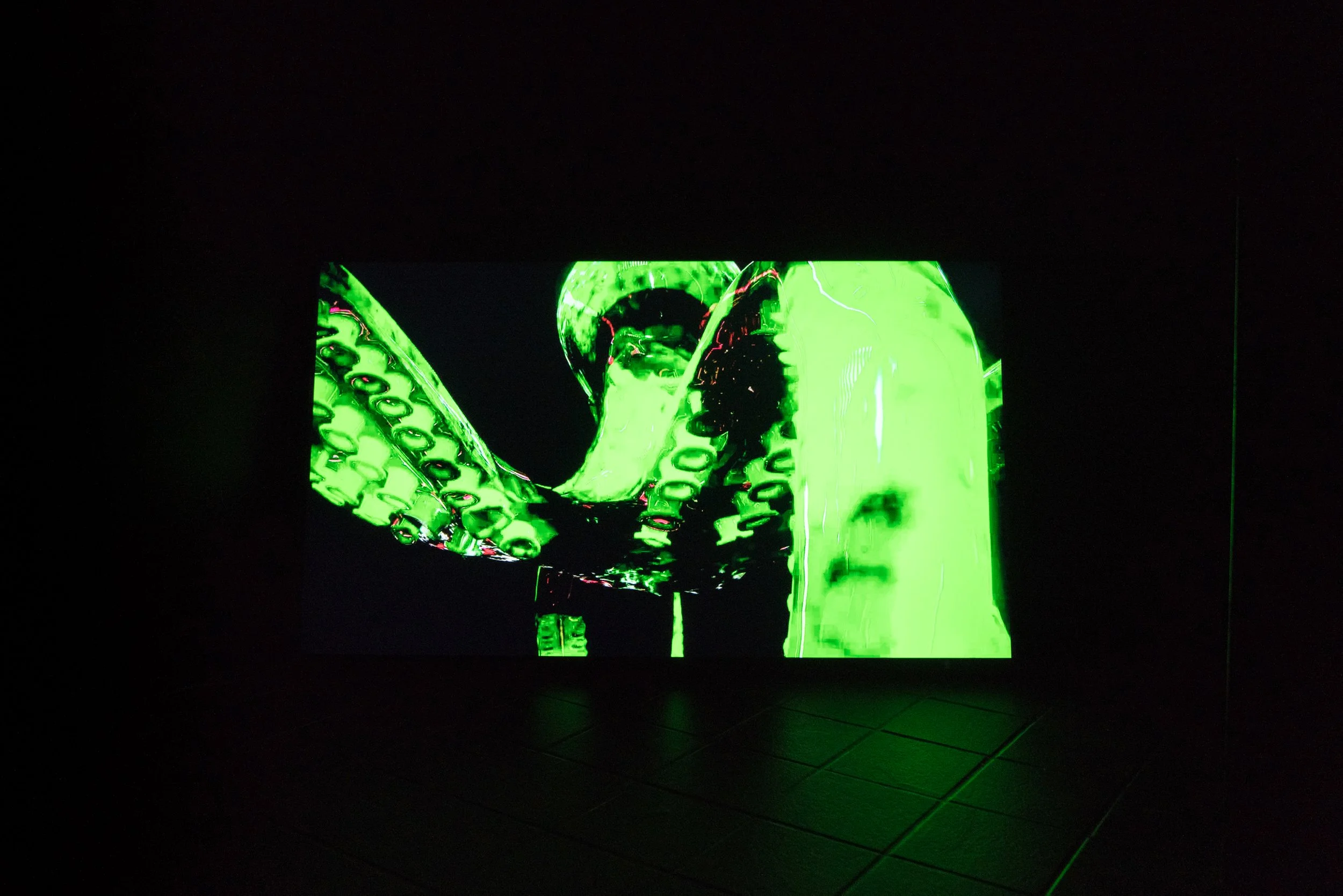 2021_Chris Dorland - Species — Galerie Nicolas Robert