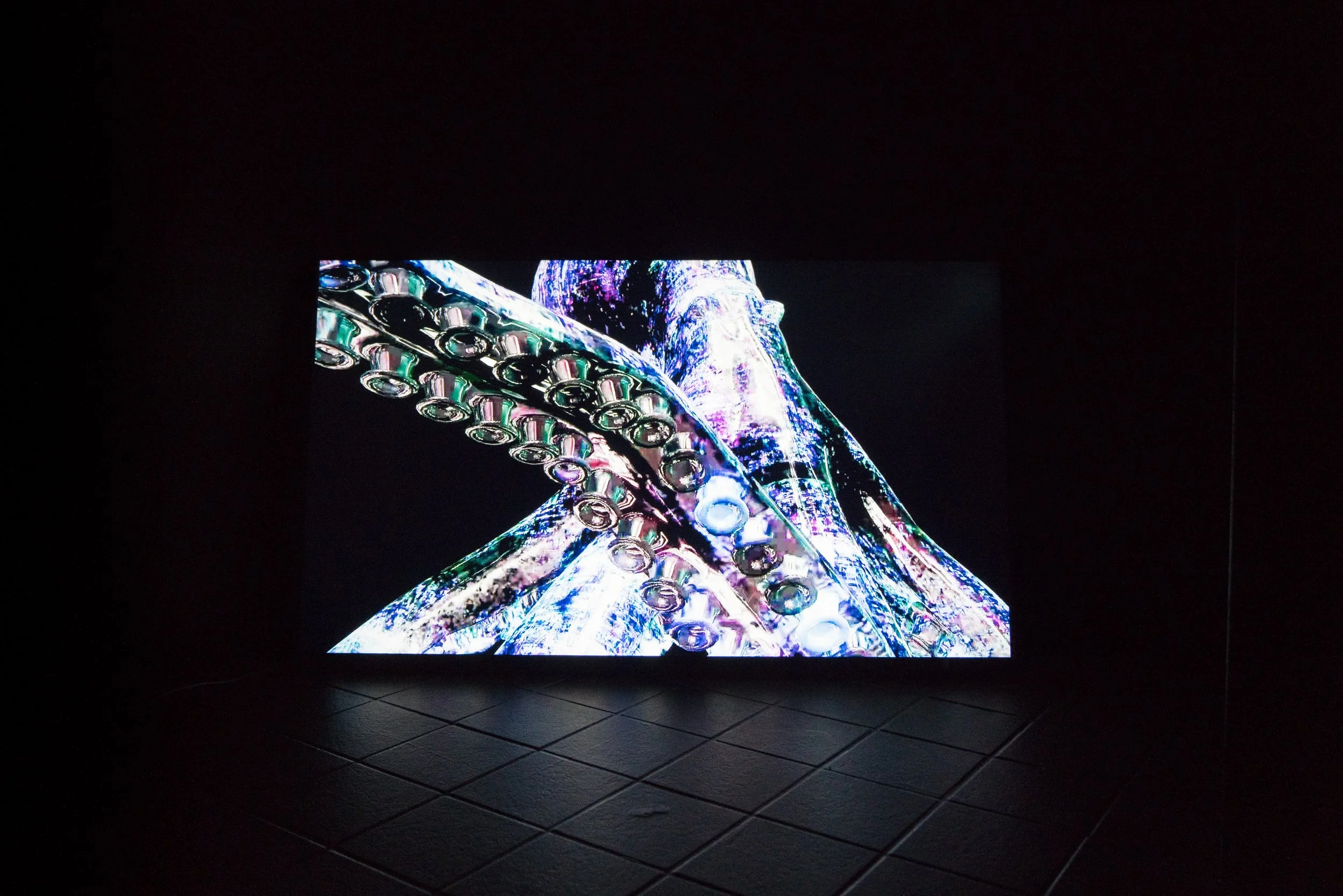 2021_Chris Dorland - Species — Galerie Nicolas Robert