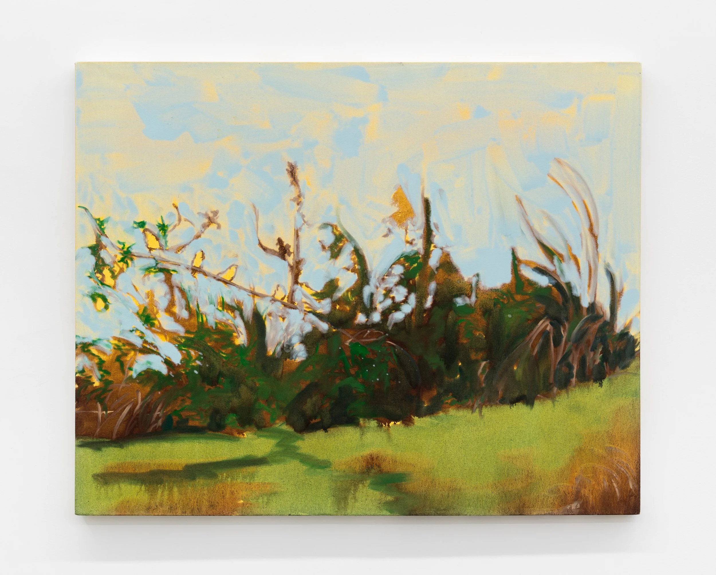 Paradeisos - Vikky Alexander, Pierre Dorion, James Gardner, Laura ...