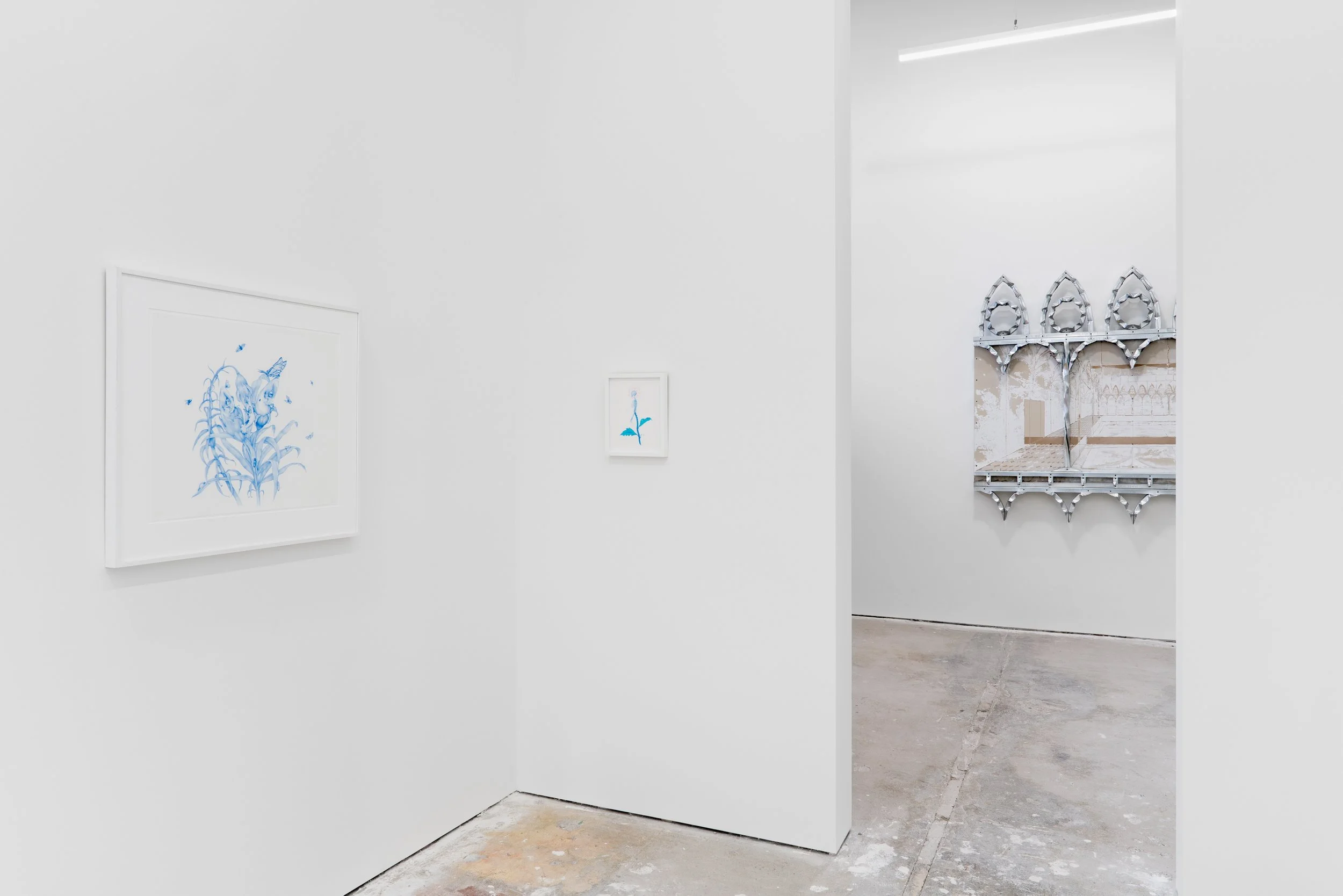 Zachari Logan - Wildman and The Bone Garden — Galerie Nicolas Robert
