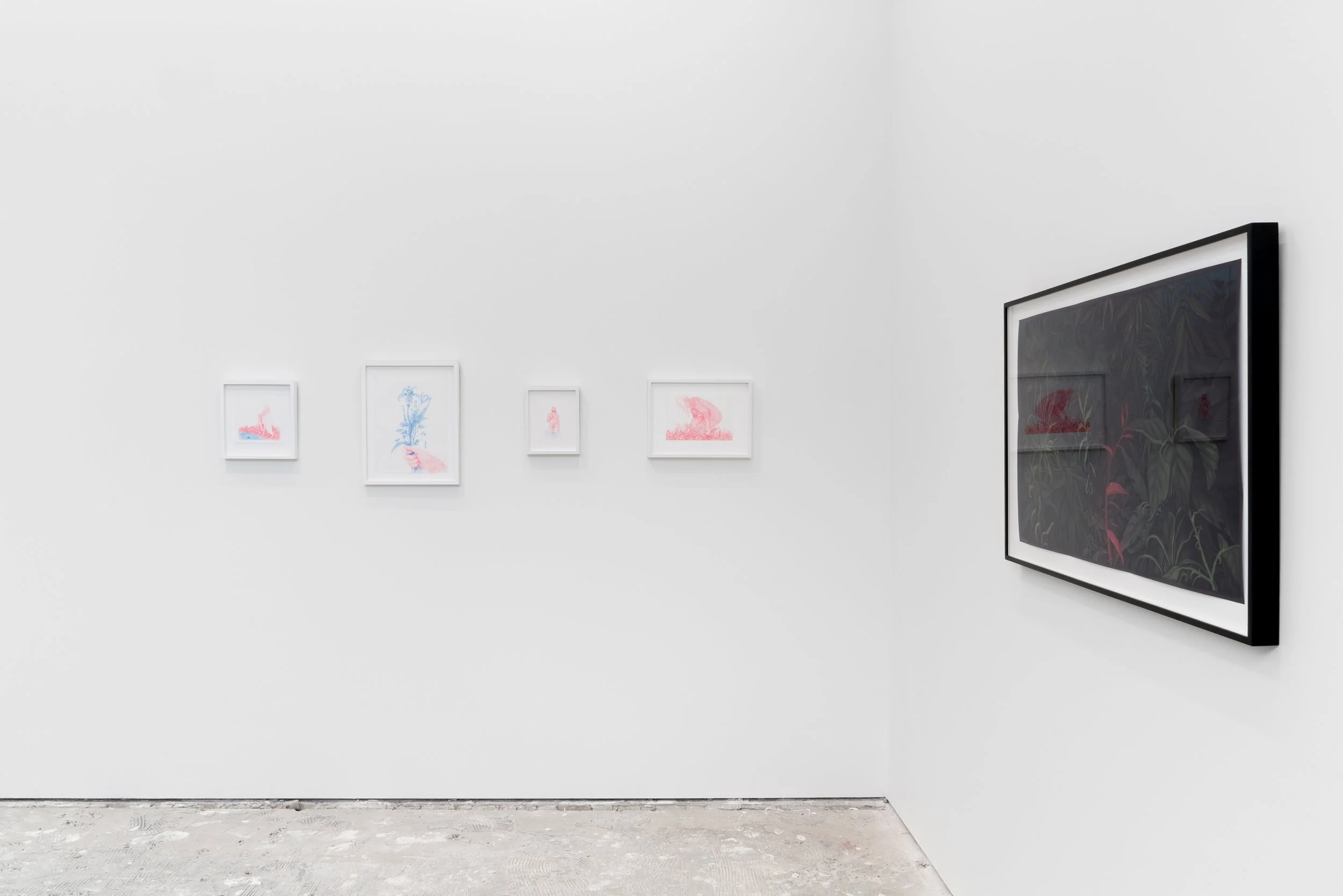 Zachari Logan - Wildman and The Bone Garden — Galerie Nicolas Robert