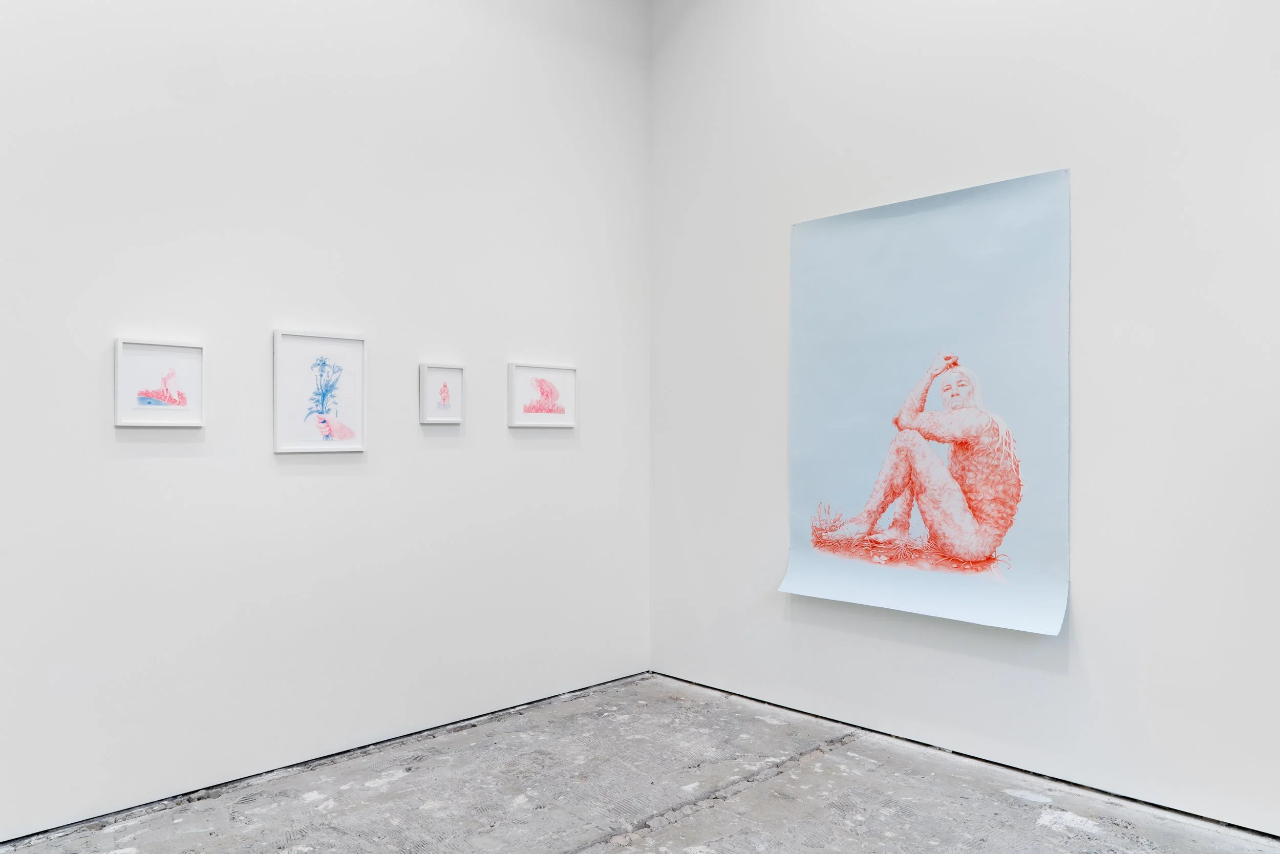 Zachari Logan - Wildman and The Bone Garden — Galerie Nicolas Robert