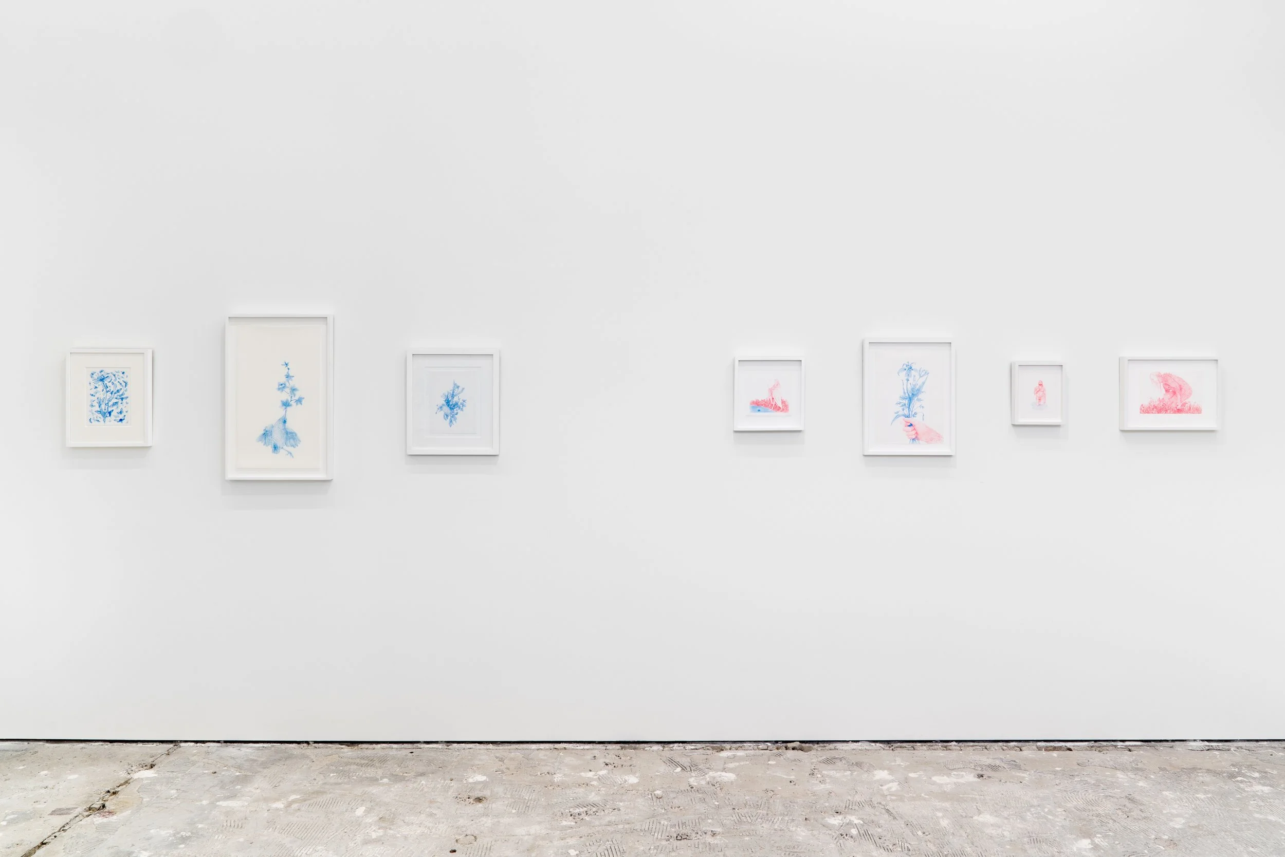 Zachari Logan - Wildman and The Bone Garden — Galerie Nicolas Robert