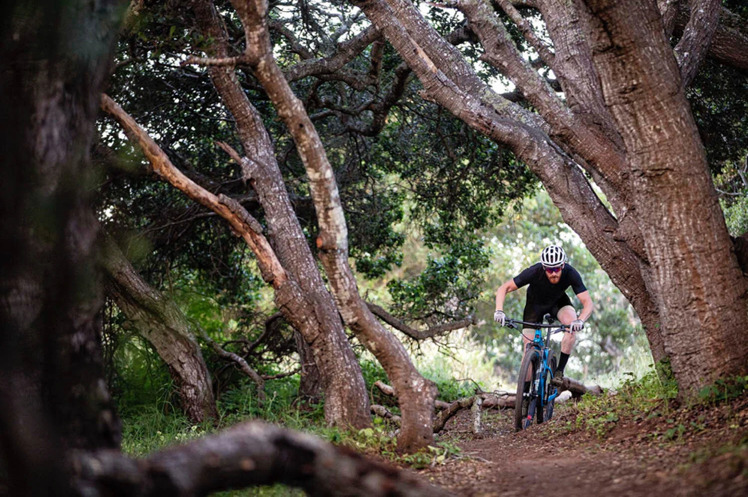 How to pick your perfect mountain bike | LIOS