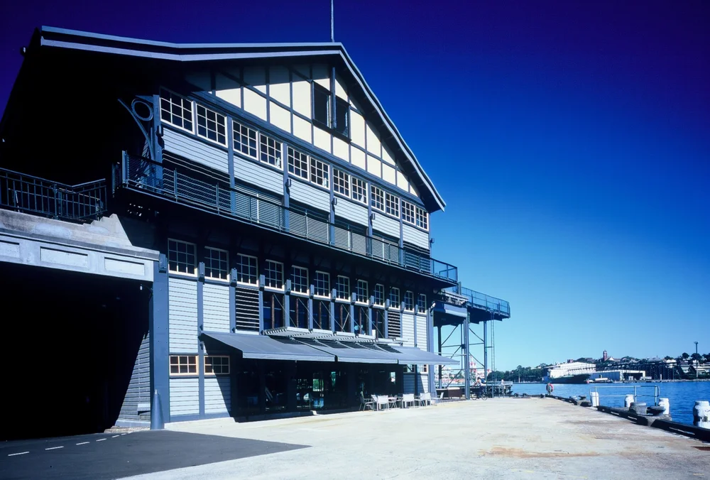 flying fish — About