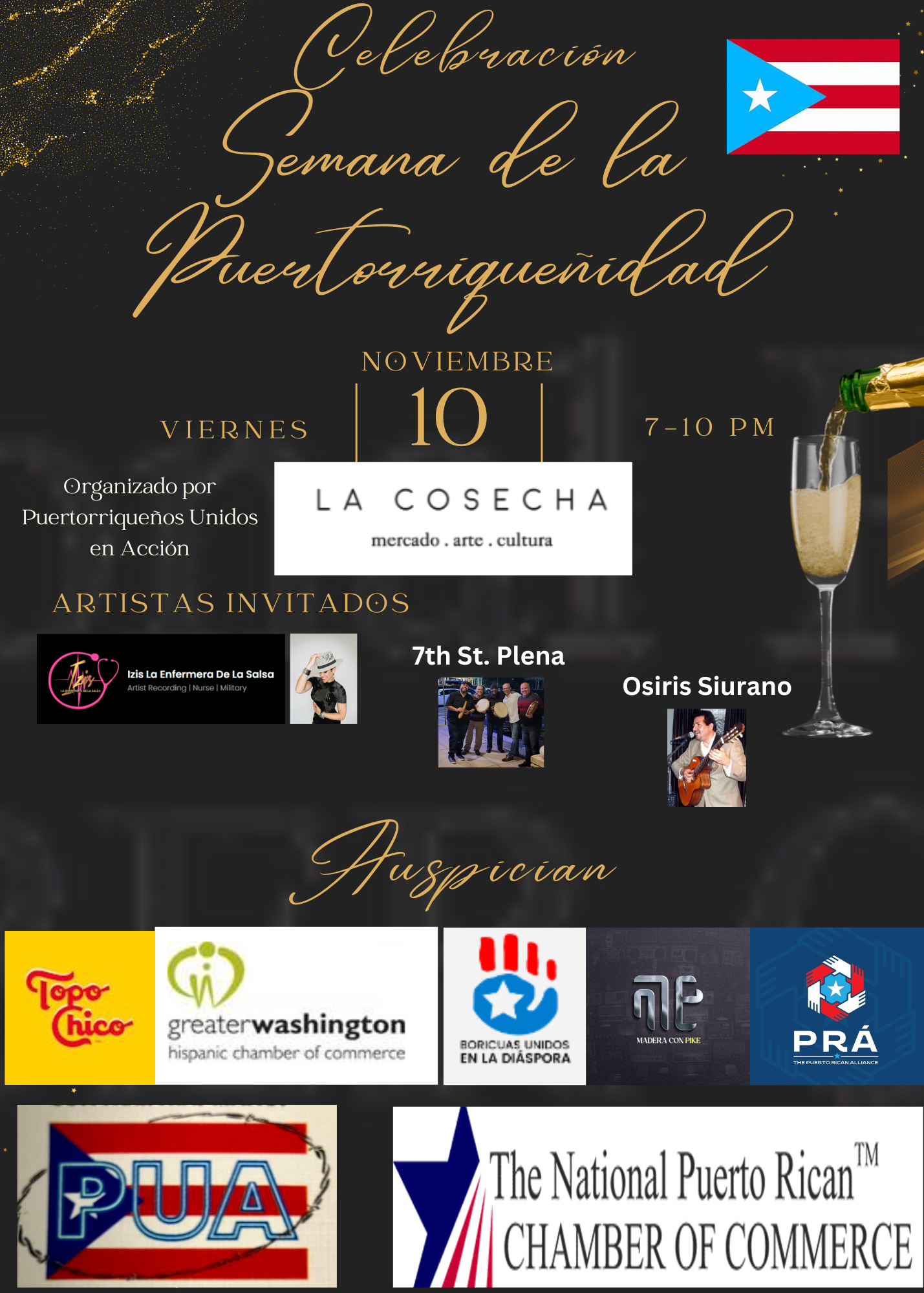 Dia de la Puertorriqueñidad en Washington DC — The National Puerto ...