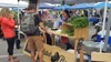 Scape Gazpacho! — Garden City Harvest