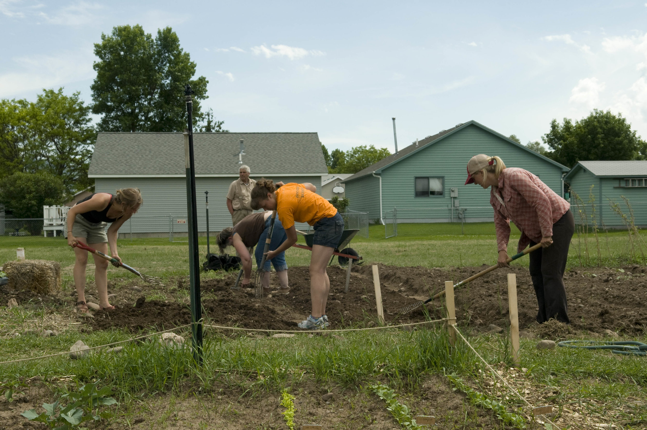 The Lost Art of Bending Over — Garden City Harvest