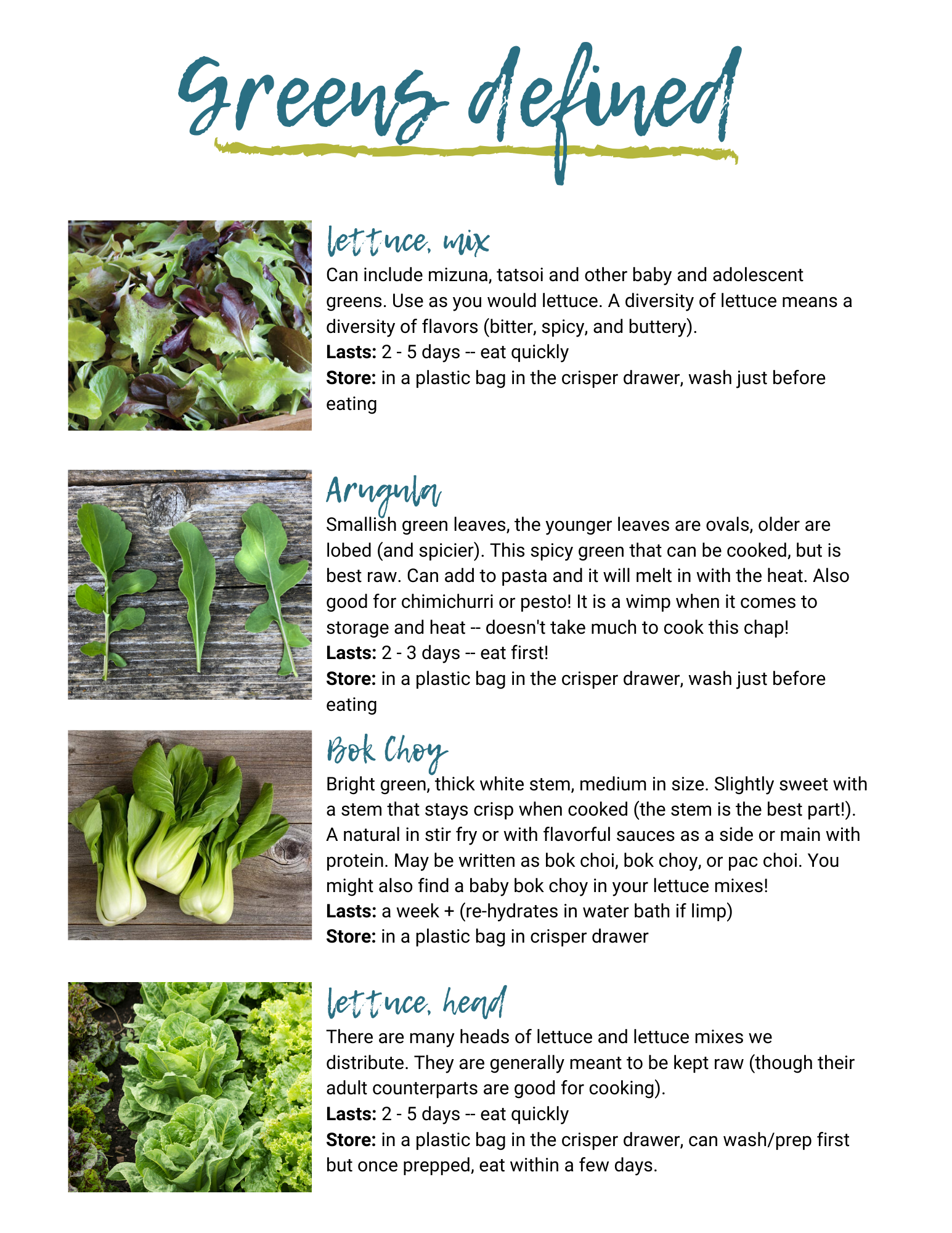 Identifying Lesser Known Greens — Garden City Harvest