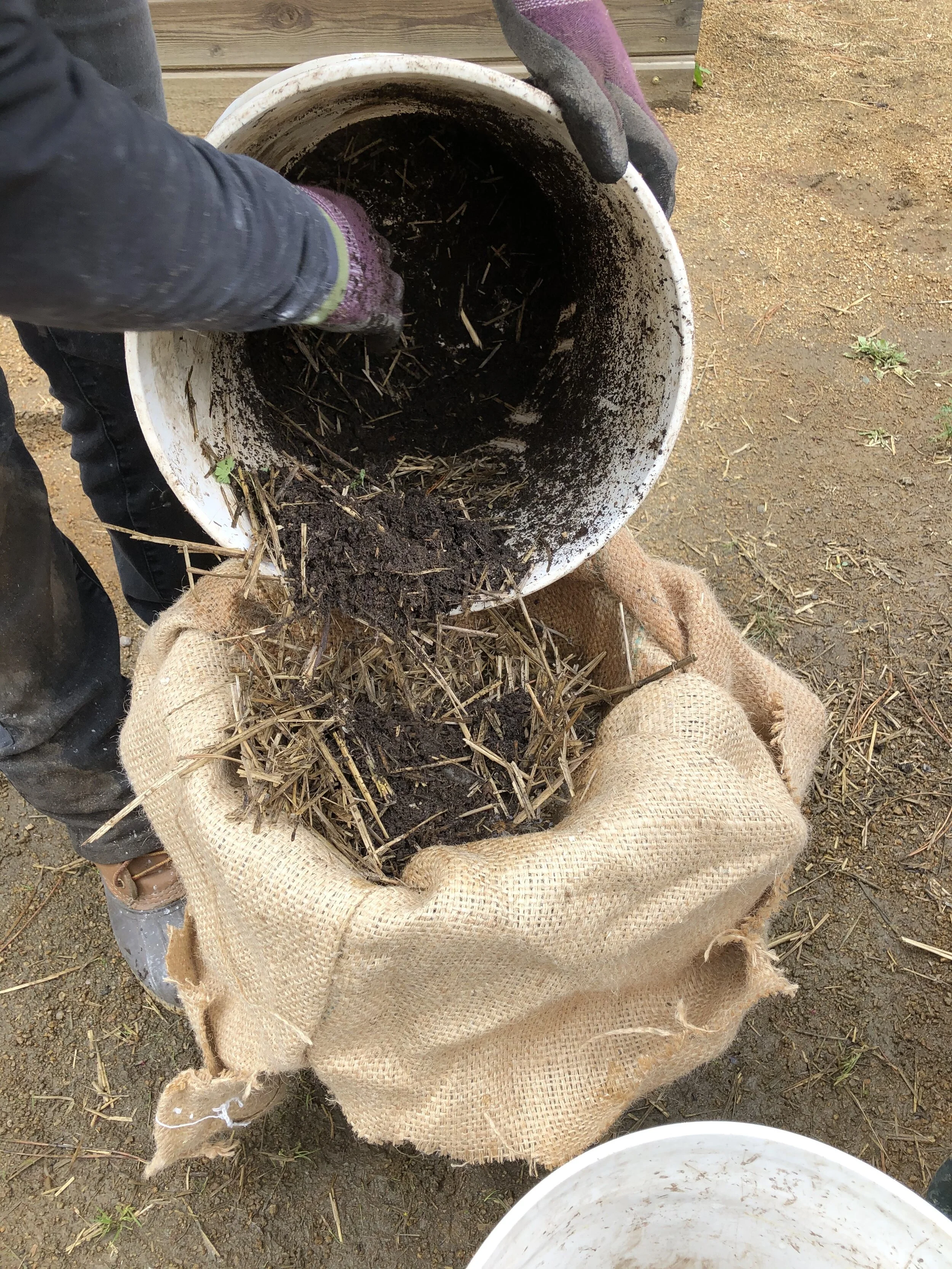 Compost Tea — Garden City Harvest