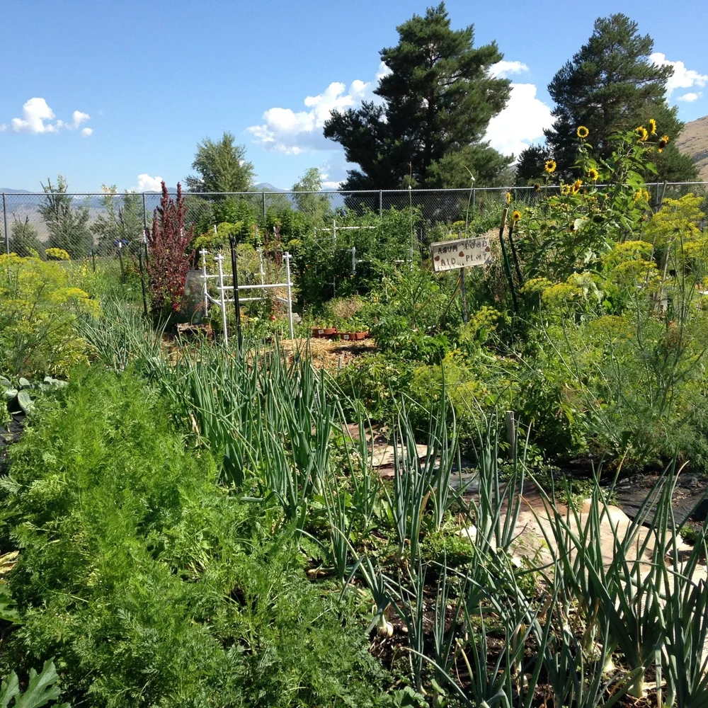Community Garden List — Garden City Harvest