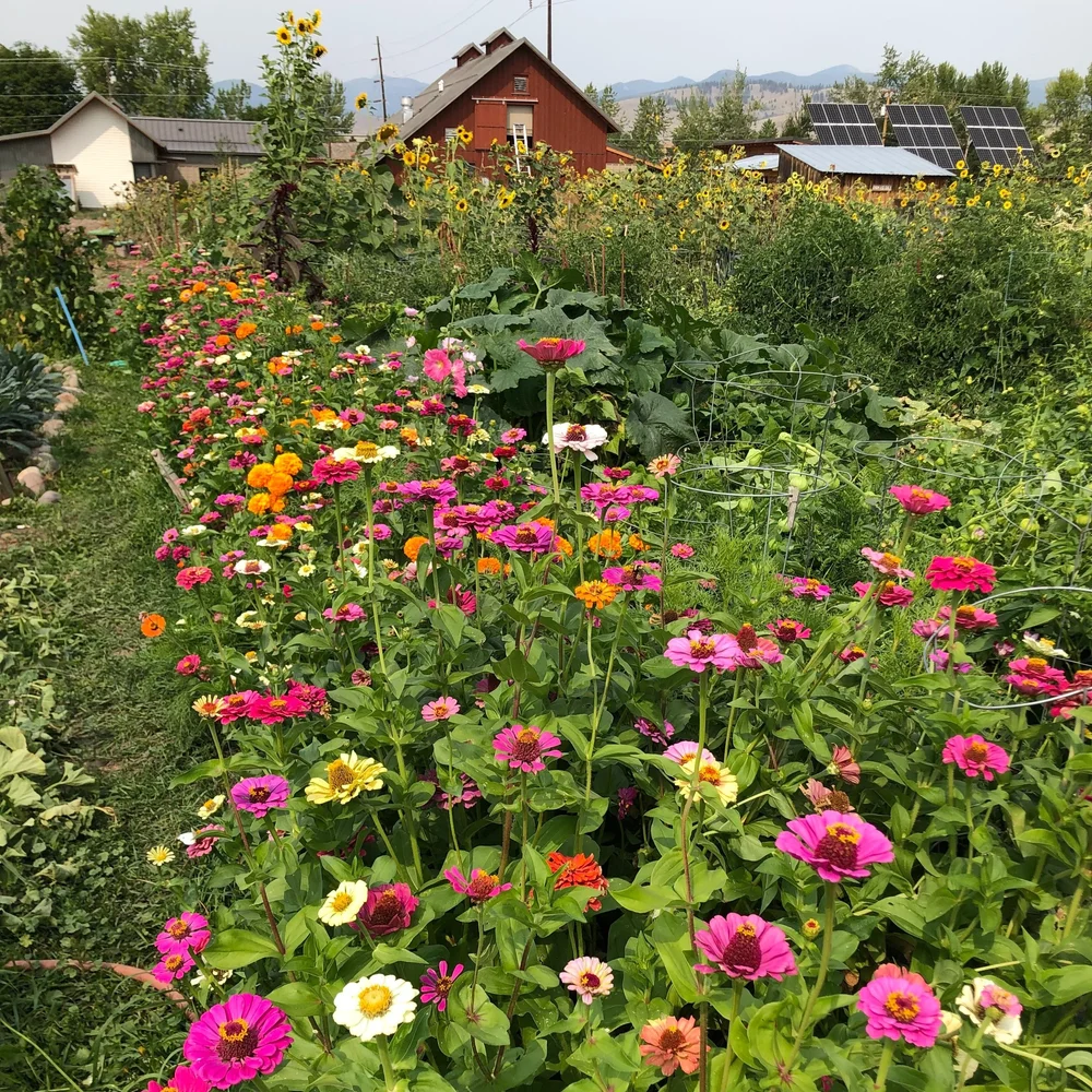 Community Garden List — Garden City Harvest