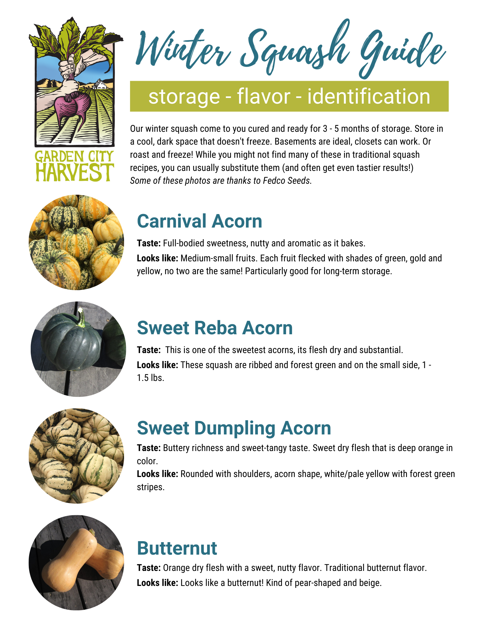 Winter Squash ID and Guide — Garden City Harvest
