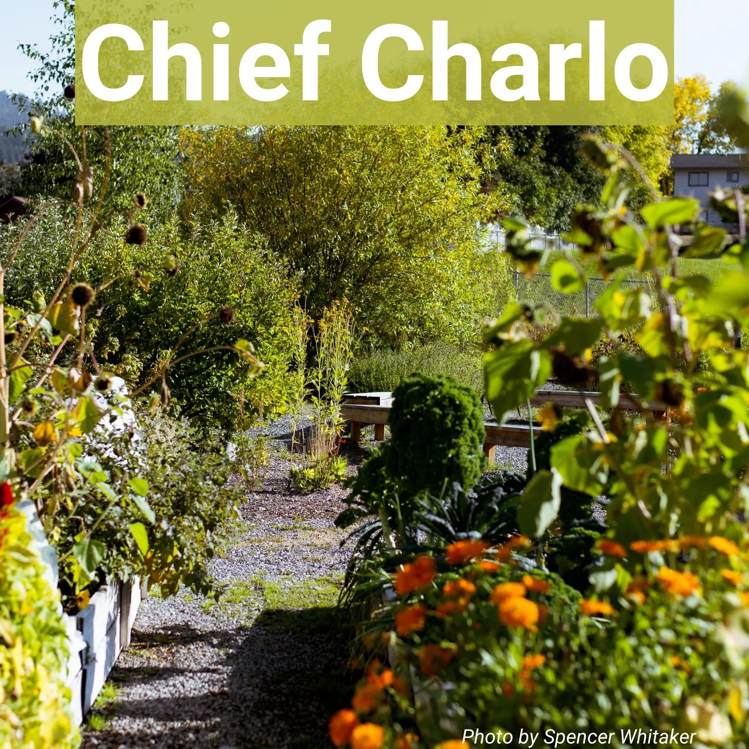 school garden info — Garden City Harvest