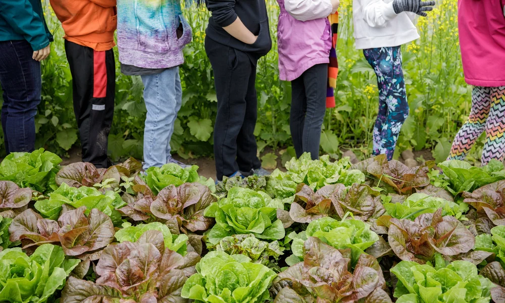 Farm to School — Garden City Harvest