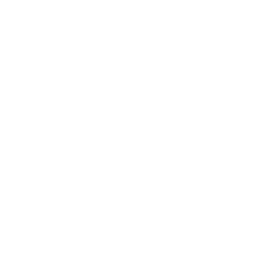 Pure Bella Spa & Beauty Boutique
