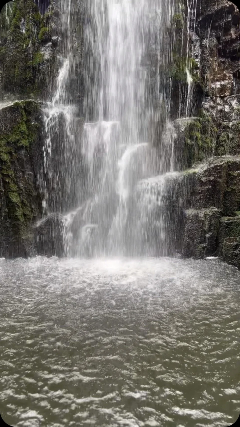 Sacred Familiar | Spirit Doll and Tarot Courses to craft an intuitive life.