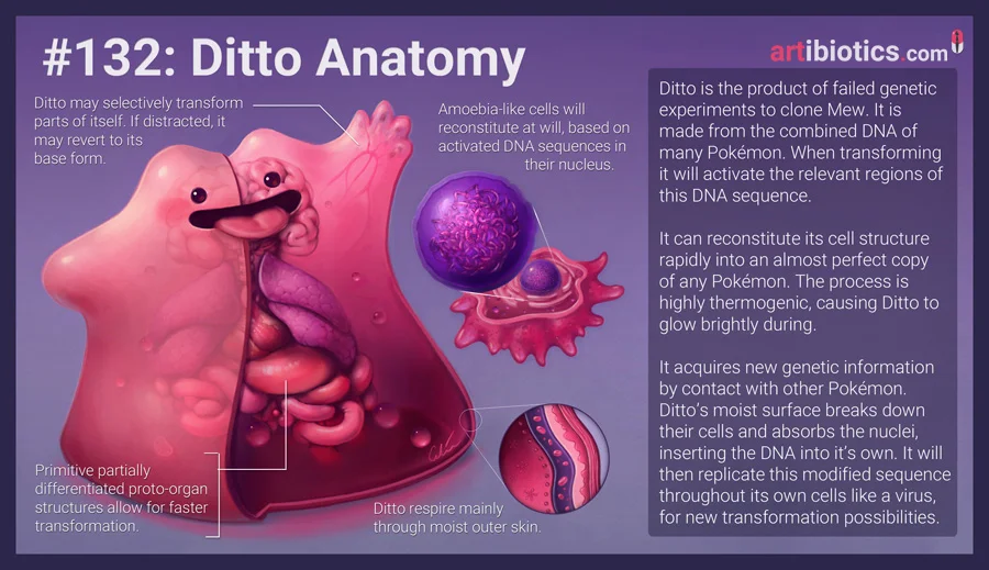 Pokémon anatomy — artibiotics