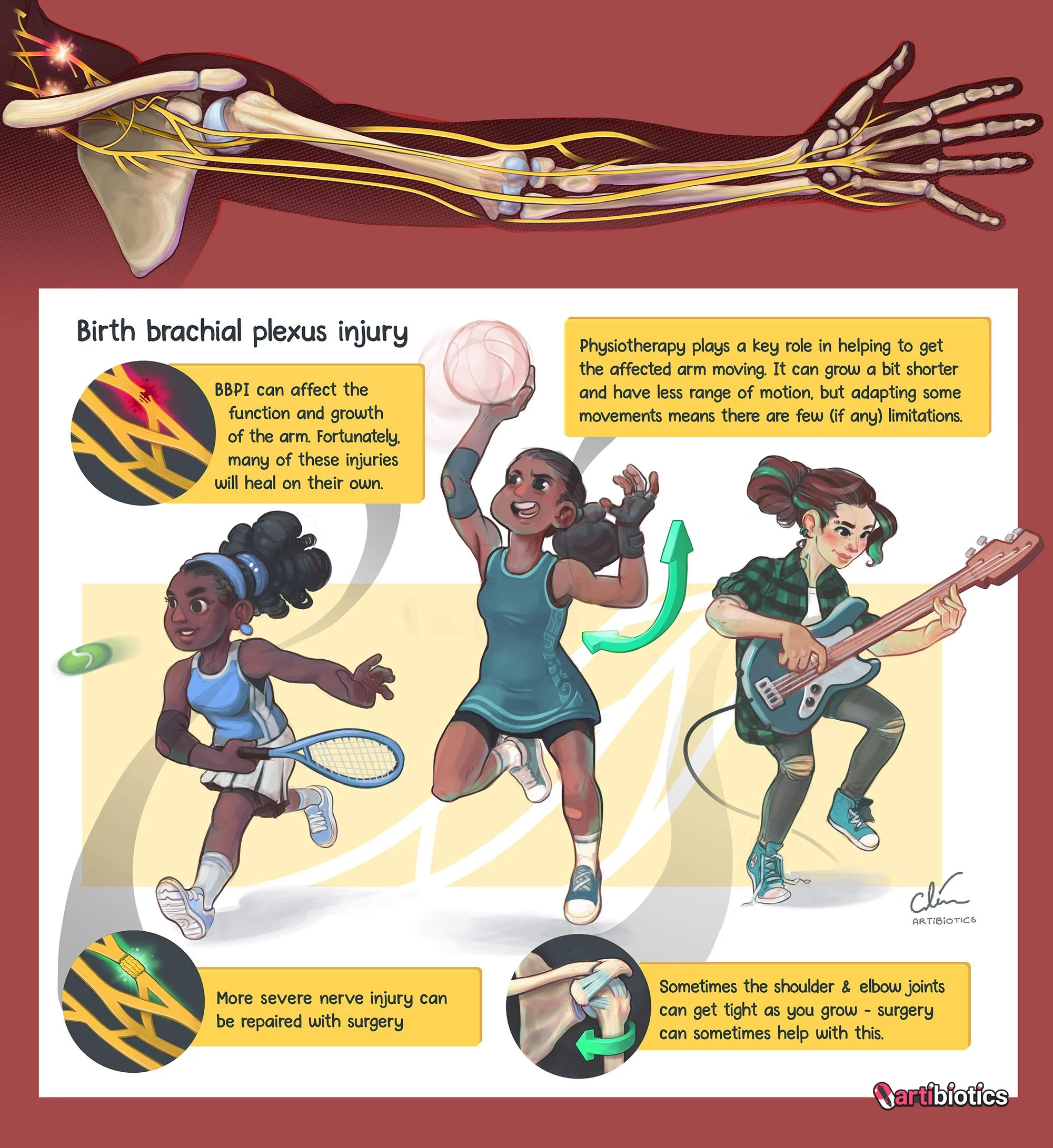 Portfolio - Medical Illustration by Dr Ciléin Kearns (Artibiotics ...