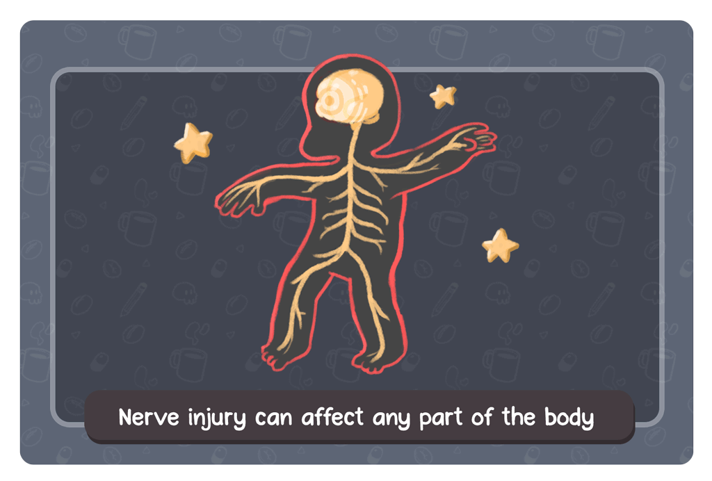 An intro to nerve injury — artibiotics