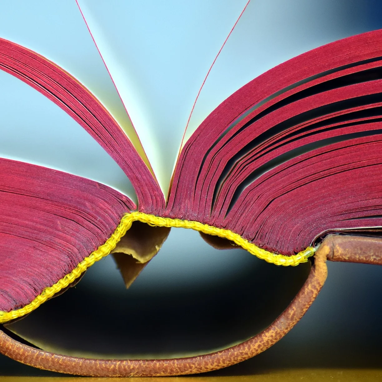 Dry Lives - translation — Chris Finney