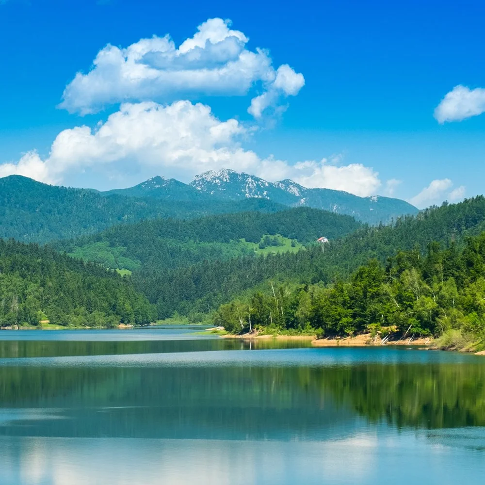 All — Trottier Family Foundation