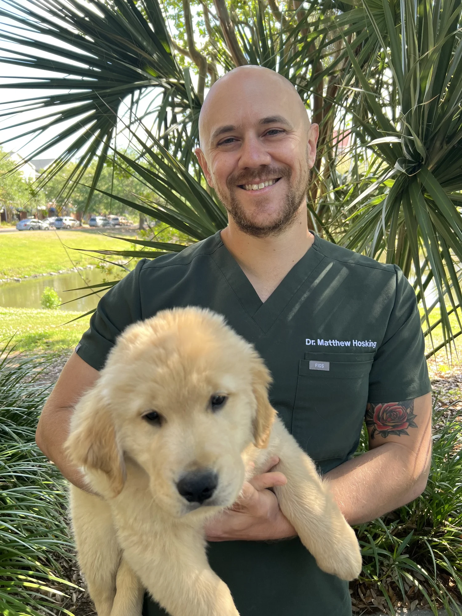 Meet Our Veterinarians — Daniel Island Animal Hospital