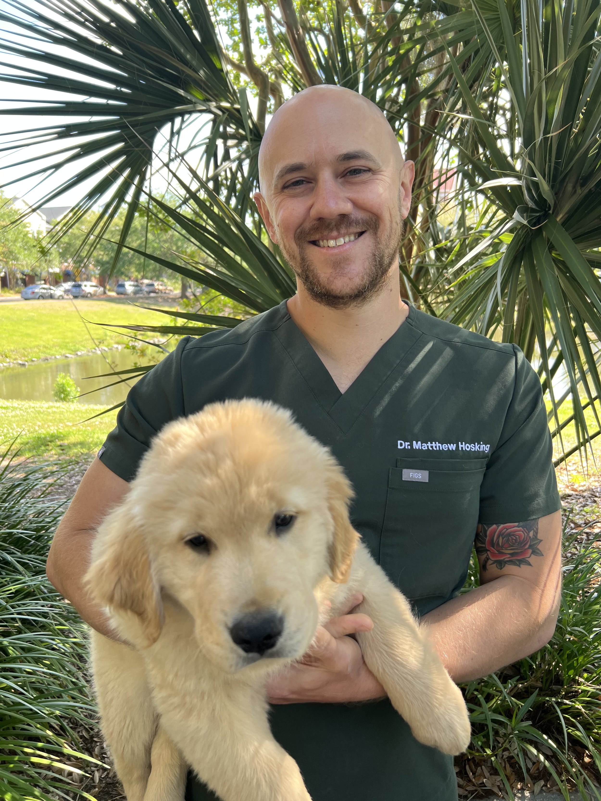 Meet Our Veterinarians — Daniel Island Animal Hospital
