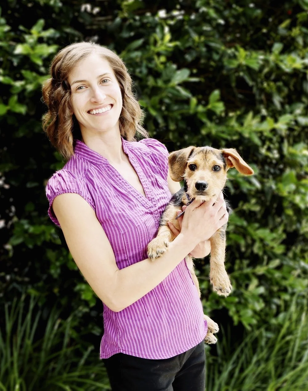 Meet Our Veterinarians — Daniel Island Animal Hospital