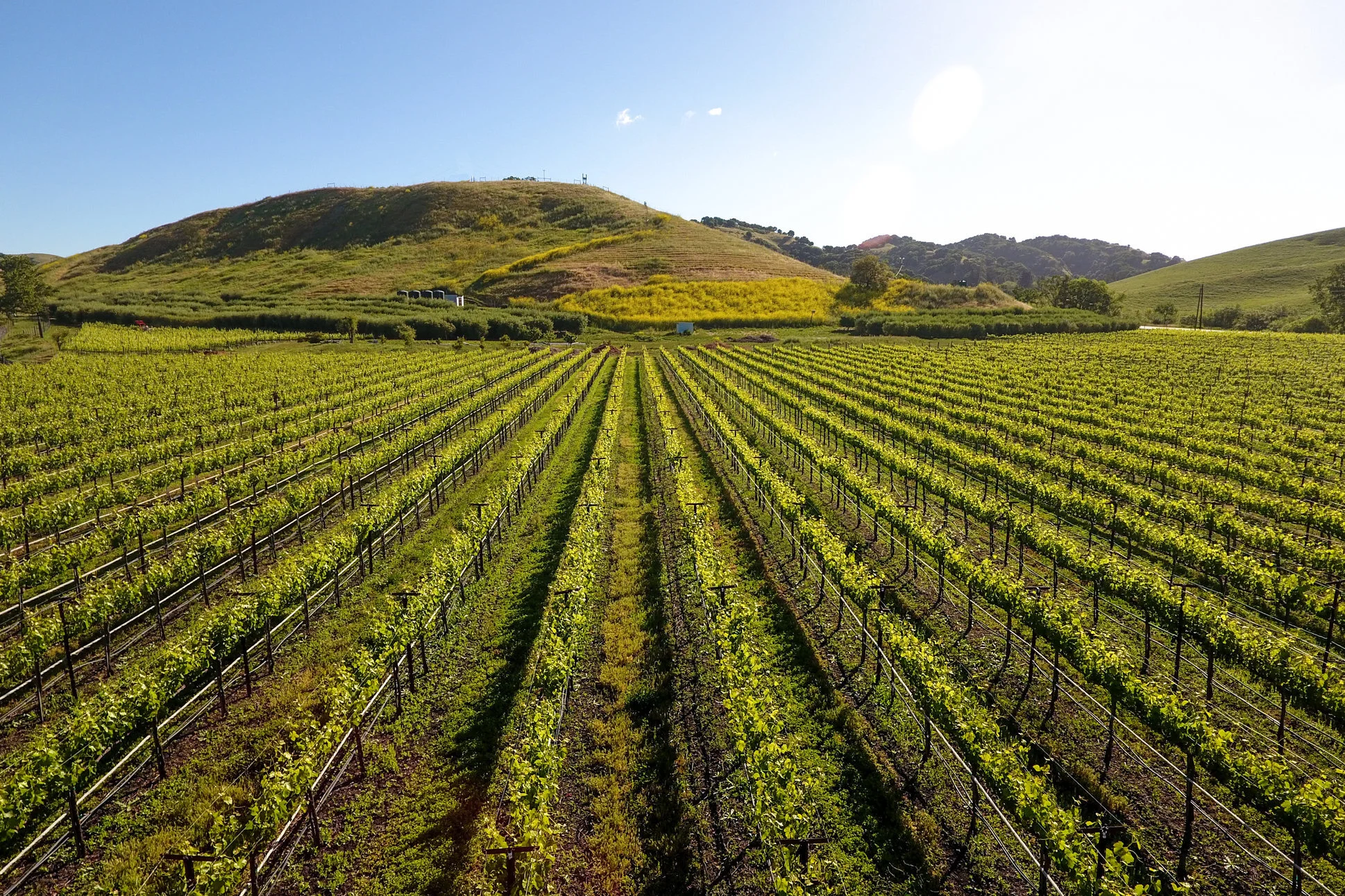 Balestrieri Family Farm