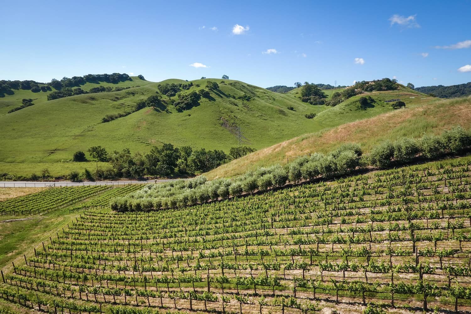 Visit — Balestrieri Family Farm