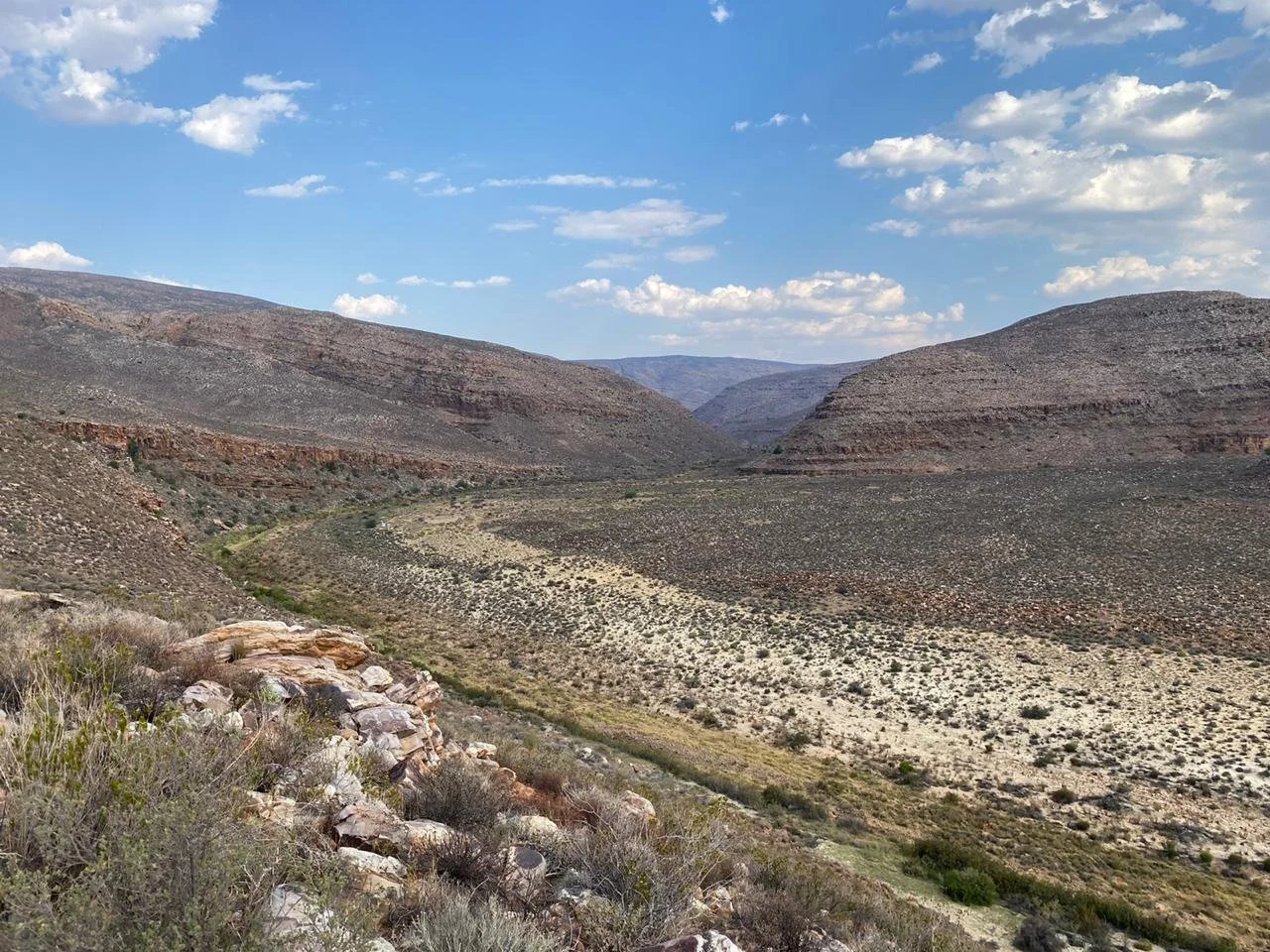 Conservation and preservation in the Last of the Renosterveld ...