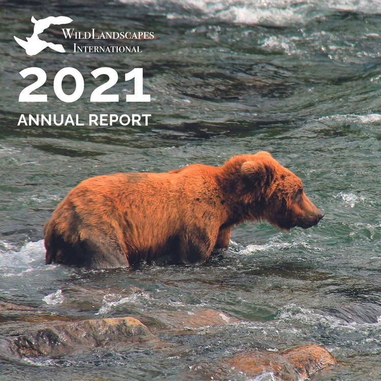 WildLandscapes International | Biodiversity Conservation