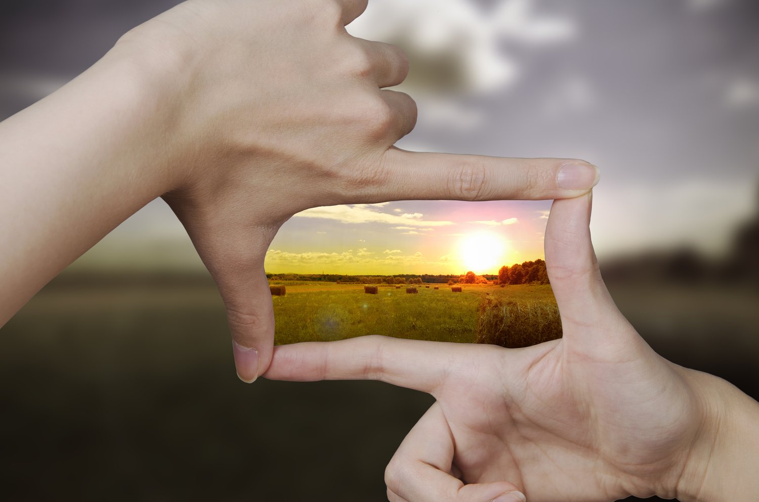 Our Purpose — Dominion Technologies Group, Inc.