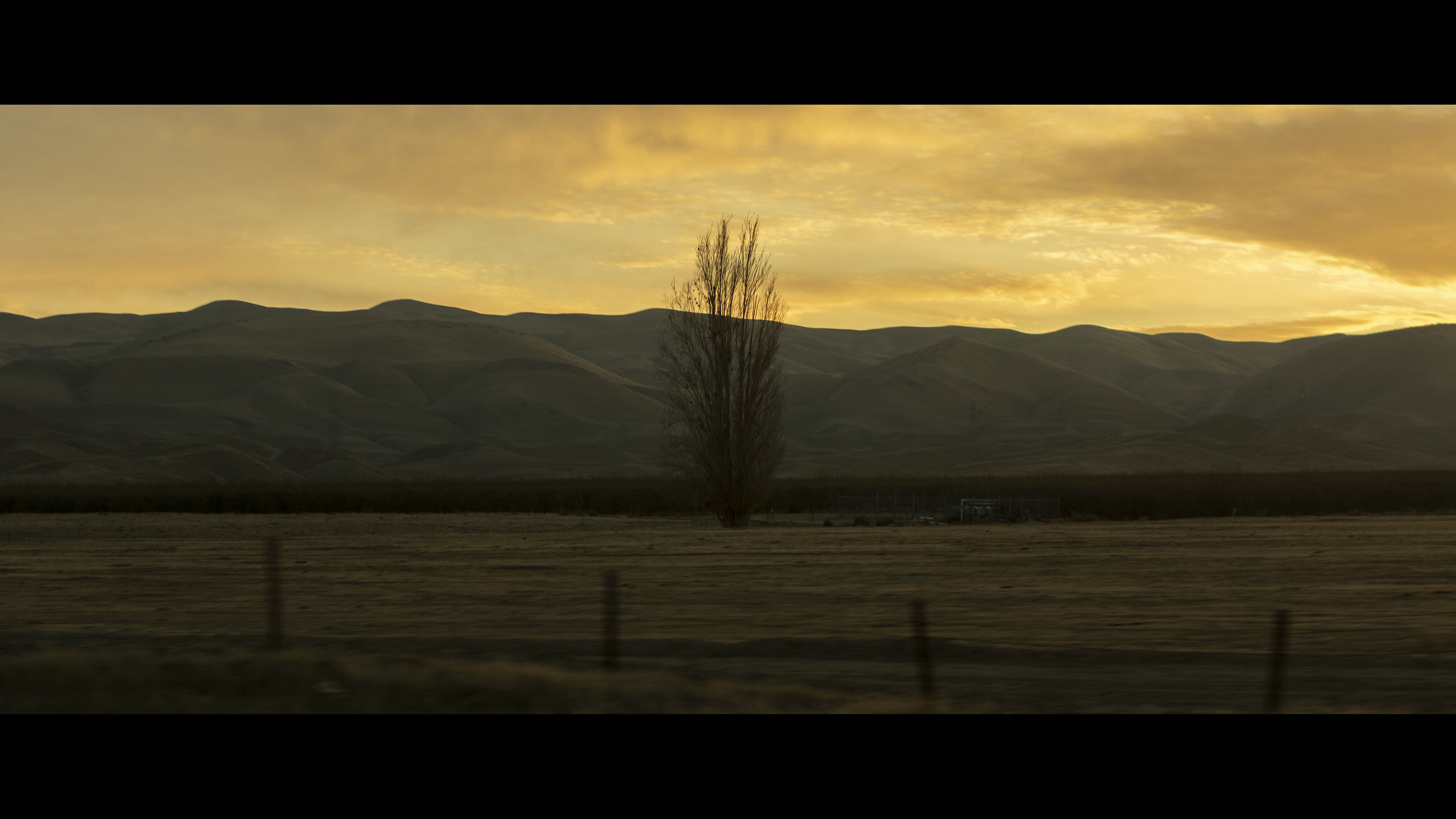 Michael Roseman Director of Photography