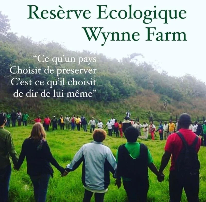 Our Partners - Wynne Farm — LovEarth