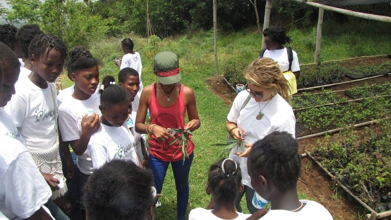 Our Partners - Wynne Farm — LovEarth