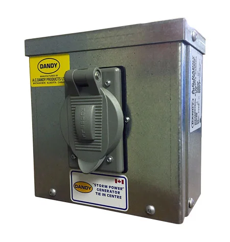 Essential Load Transfer Switch & Panel / Portable Generator Exterior ...